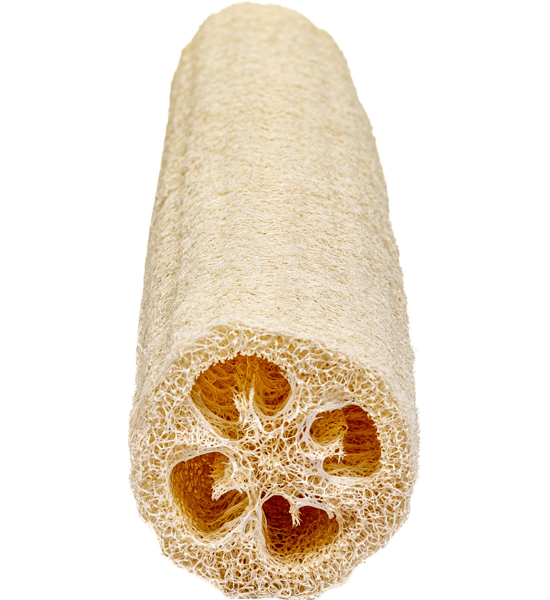 Common Loofah imported from South-East Asia